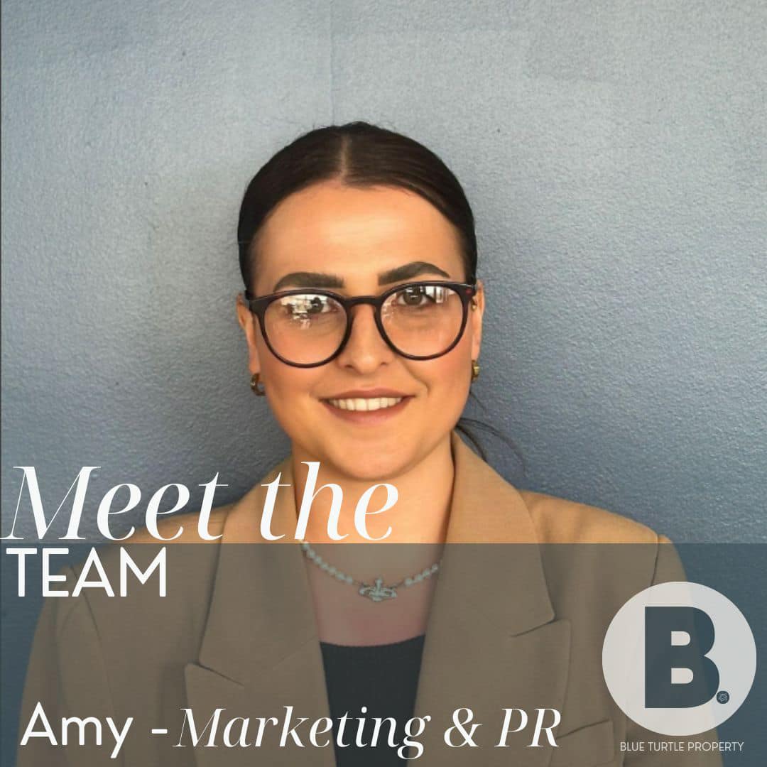 About - Blue Turtle Property