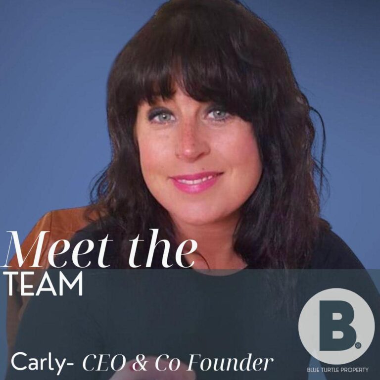 About - Blue Turtle Property