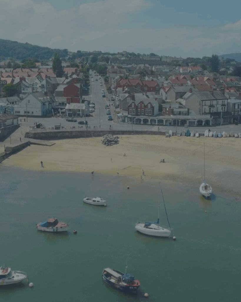 Area Guides - Blue Turtle Property